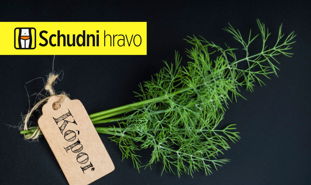 Kôpor voňavý Korenina a liečivá bylina schudnihravo.sk